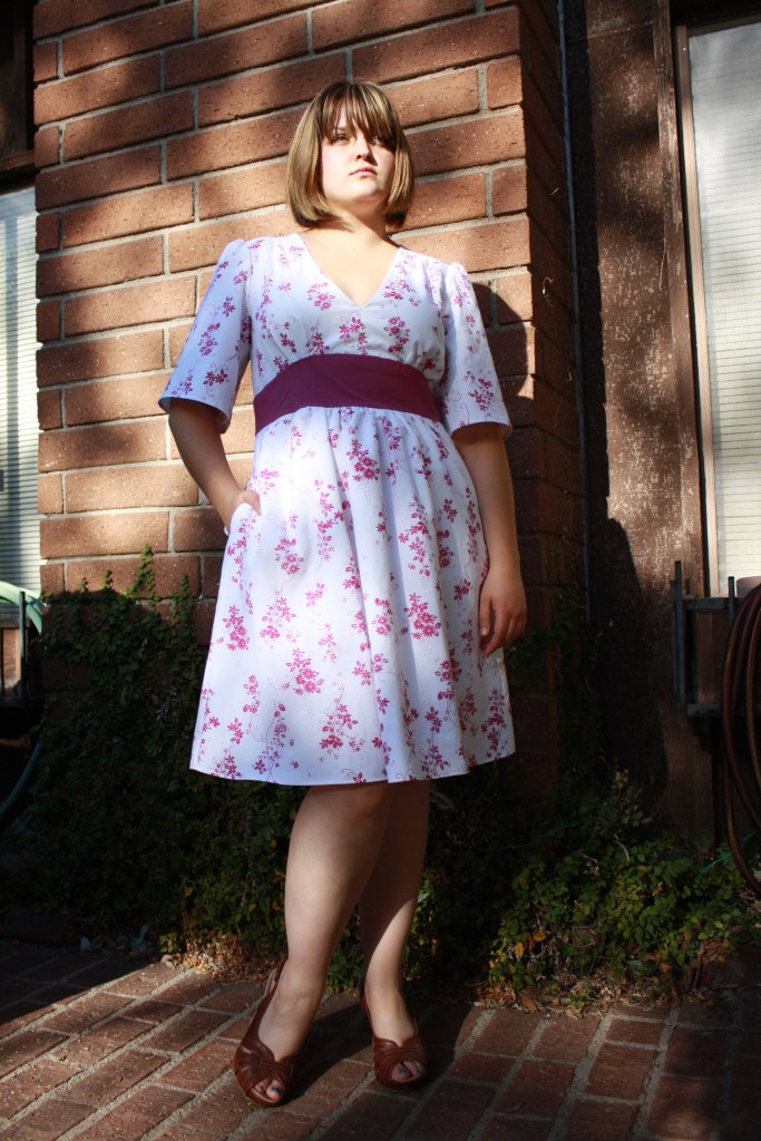 Pattern Review: Simplicity 1801 – Doctor T Designs