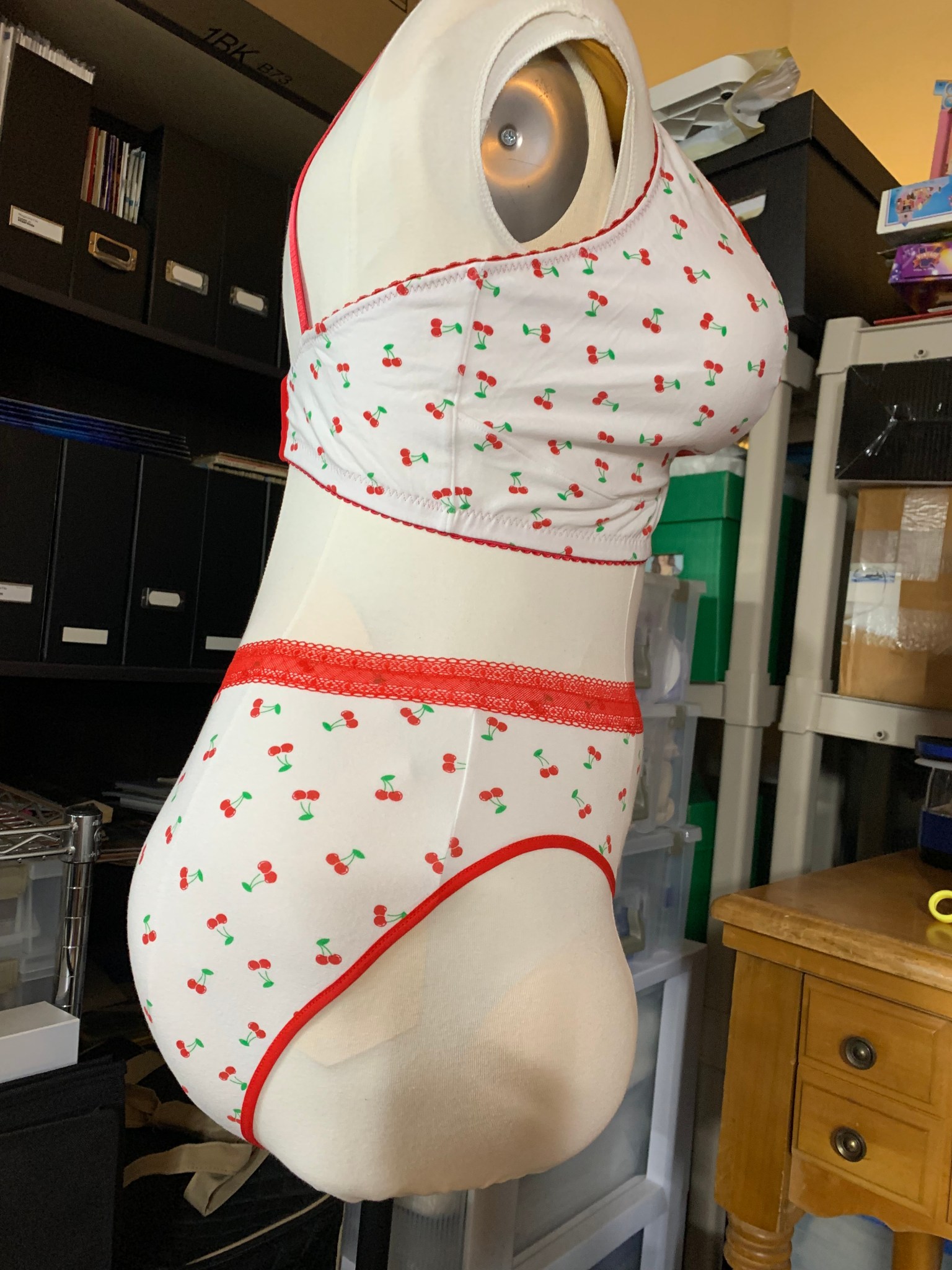 Adventures in Bra Sewing: Starting a Lingerie Mini-Wardrobe – Doctor T ...