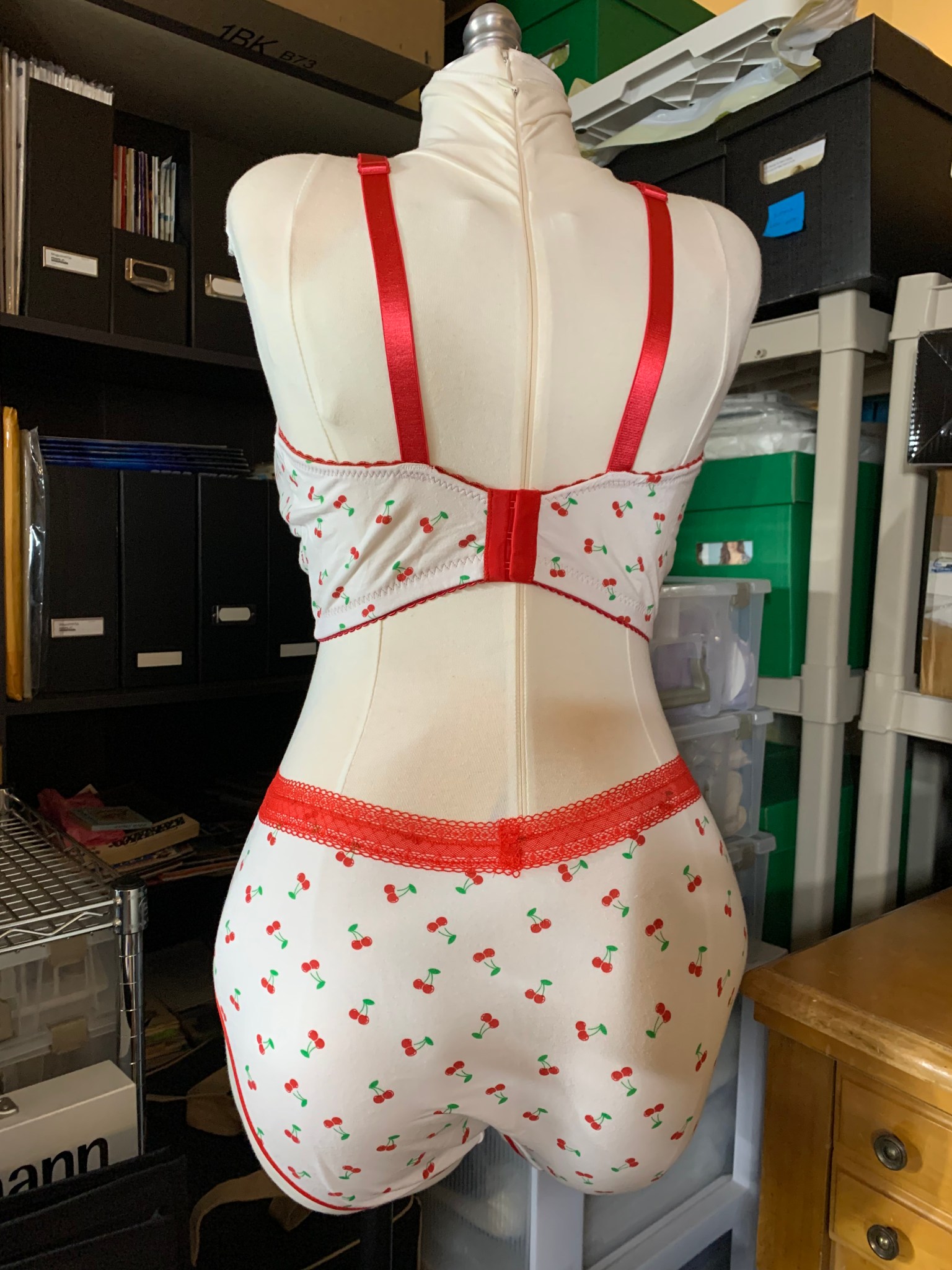 Adventures in Bra Sewing: Starting a Lingerie Mini-Wardrobe – Doctor T ...